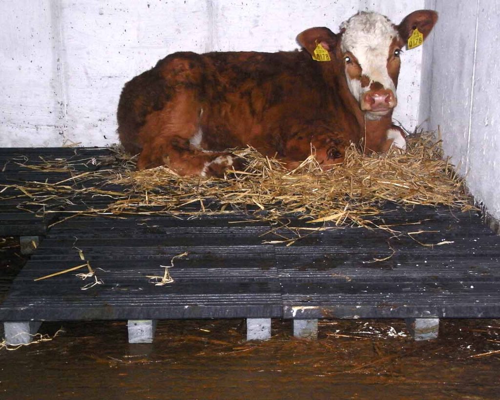 Calf Slats - Murray's Recycled Plastic